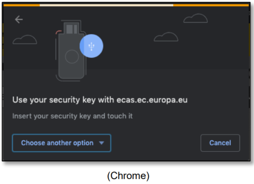 Sign in with a Trusted Platform or Security Key - EU Login Portal